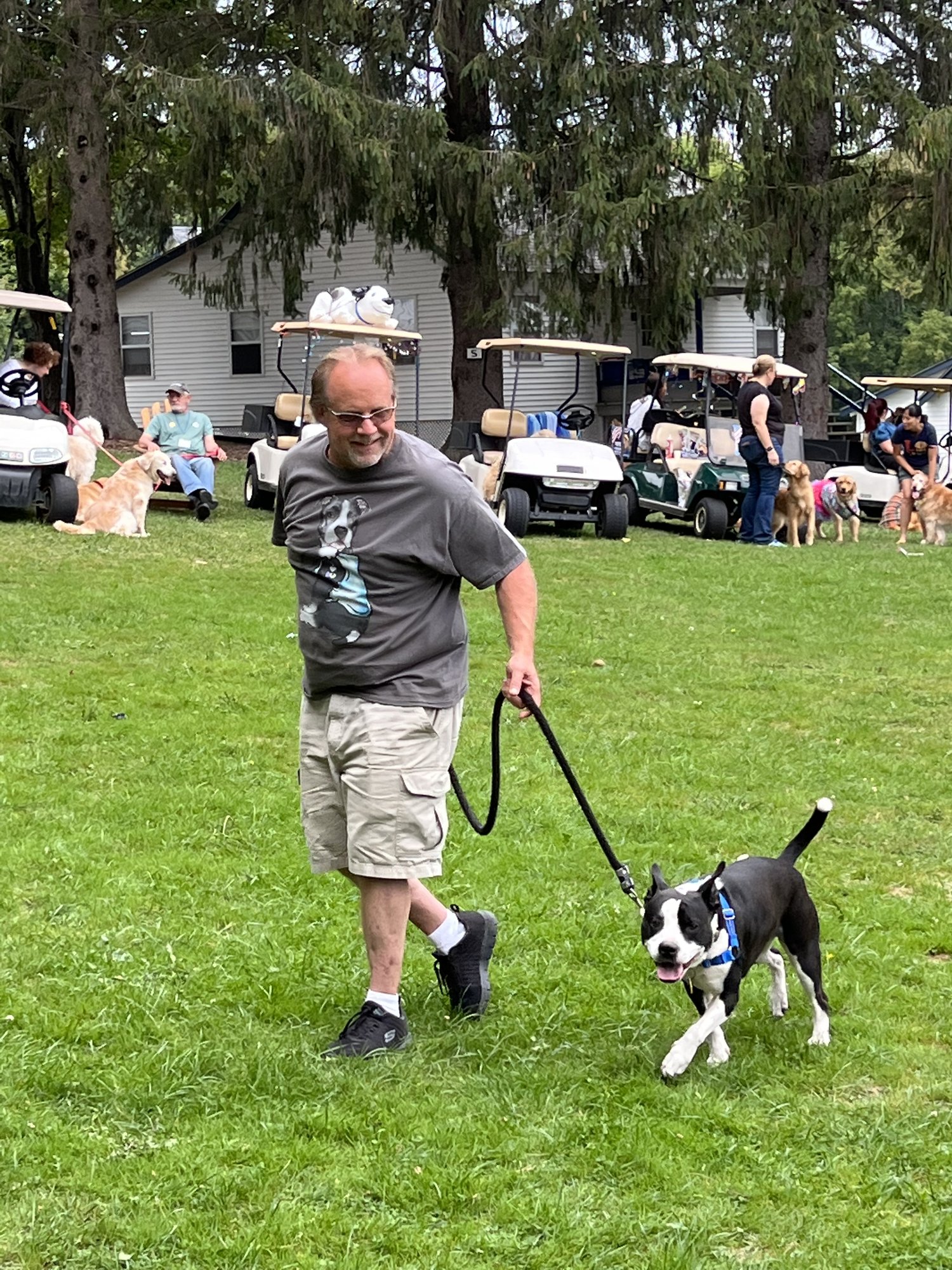 Rescue and Senior Dog Parades - Goldstock Camp